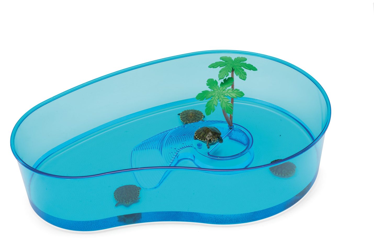 Buy the Imac Virgola Turtle Bowl for your pet